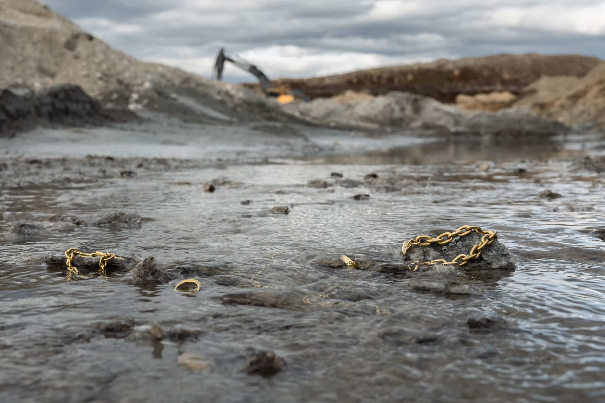 Discover Acre & Stone's New Chasing Mammoths Collection